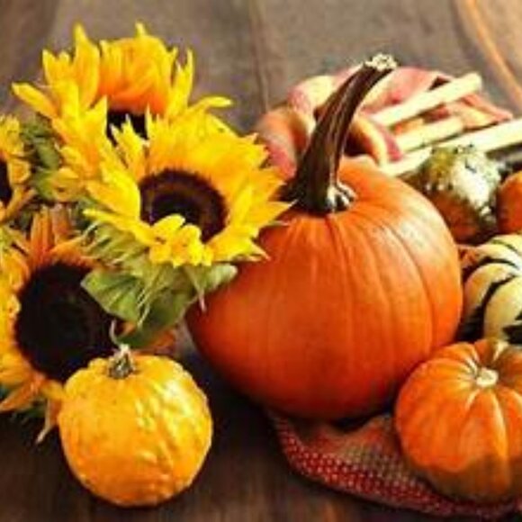 Other | 37 Clear The Rack Fall Edition | Poshmark